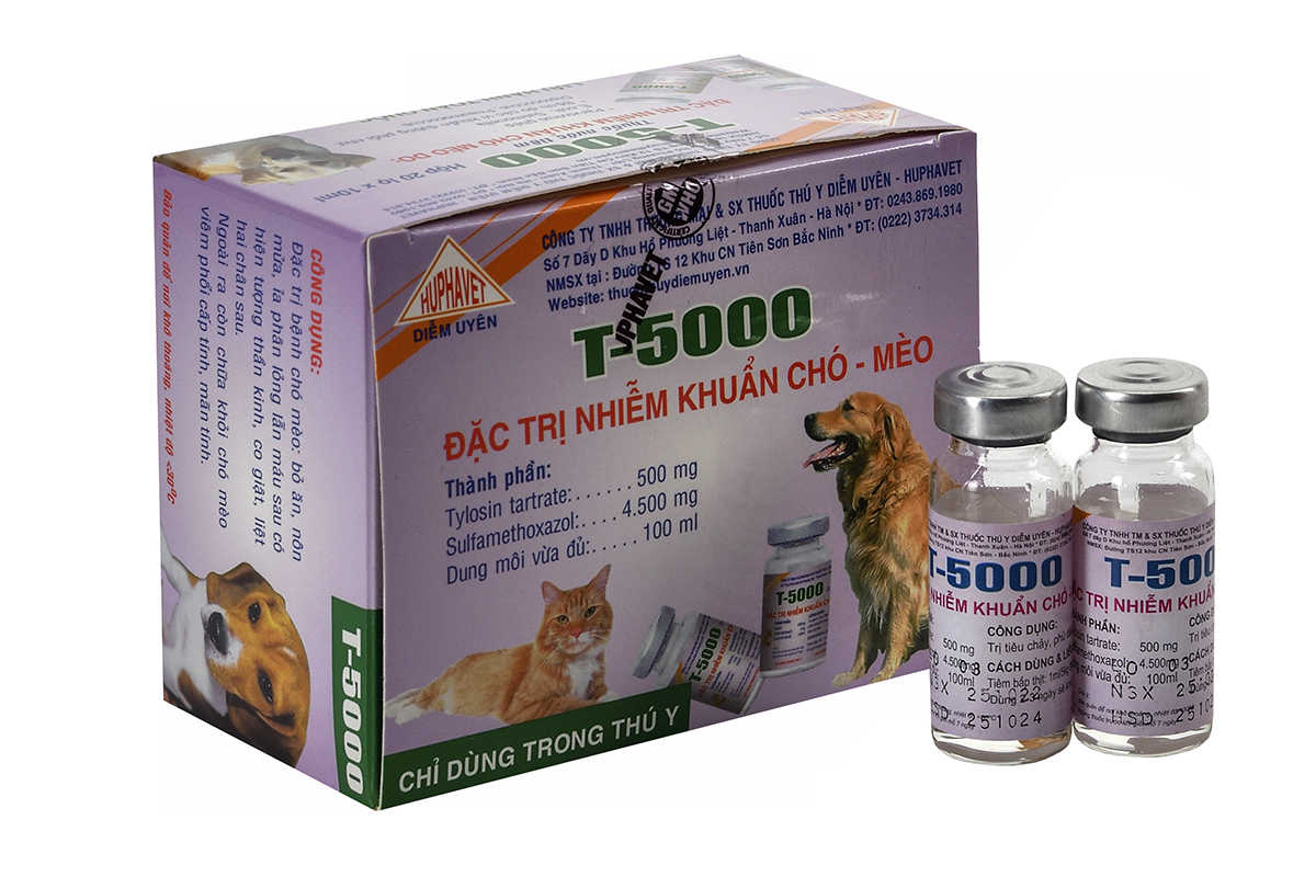 T-5000 | Diem Uyen - HUPHAVET